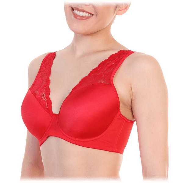 Morningsave 6 Pack Angelina Wired Padded D Dd Or Ddd Cup Bras With Lace Accent Straps