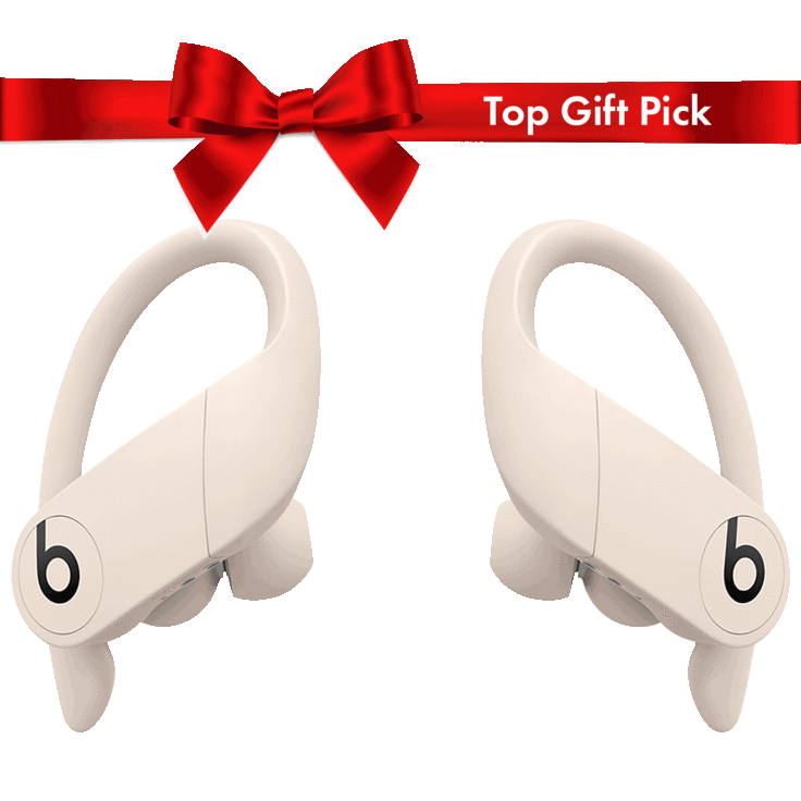 MorningSave: Beats Powerbeats Pro True Wireless High-Performance Earbuds