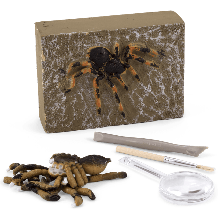 MorningSave: Spider Dig Kit