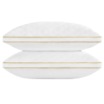 Imogen Studio +Cam HD All Weather WiFi Security Camera