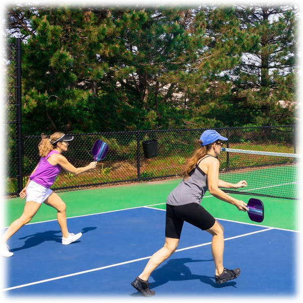 MorningSave: Hittiona Single Paddle USAPA Approved Pickleball Racket ...