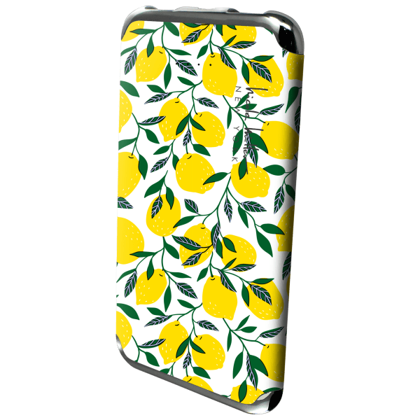 MorningSave: Nicole Miller Ultra Slim Dual USB Portable Battery Pack