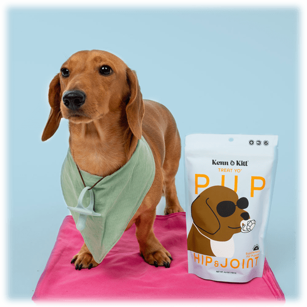 SideDeal: 8-Pack: Kenn & Kitt Vet-Formulated Hip & Joint Treats for Puppies