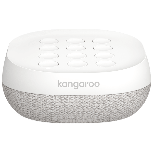 MorningSave: Kangaroo Siren + Keypad Security Alarm with 3 Motion Sensors