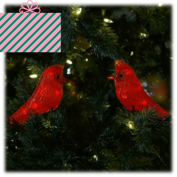 MorningSave: 2-Pack: Winter Lane Cardinal Clips with Lights