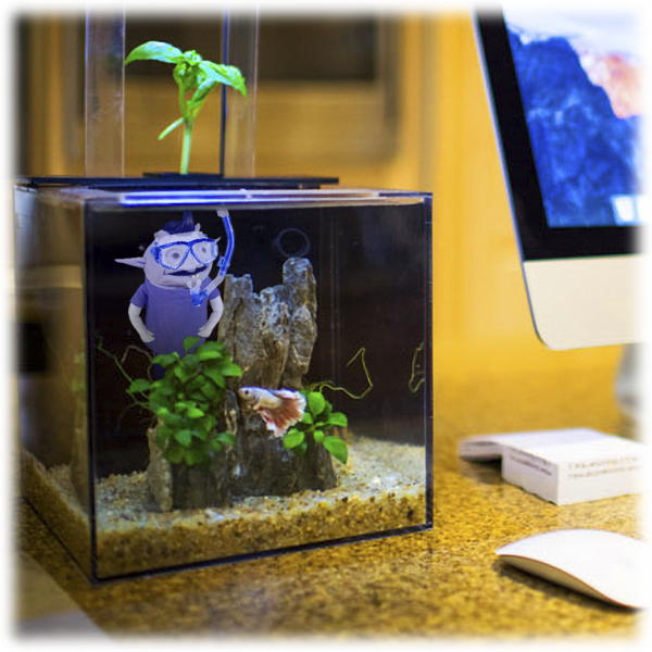 Meh: EcoQube Desktop Ecosystem: 2 or 3 Gallon Aquariums with Planter ...