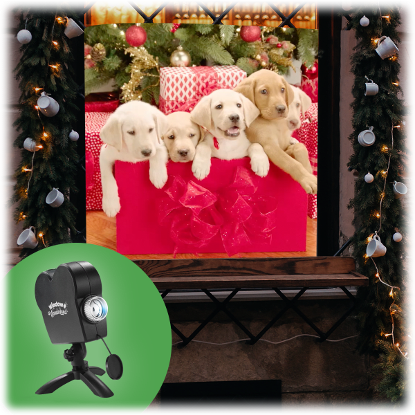 MorningSave: ASOTV Deluxe Window Wonderland Holiday Projectors
