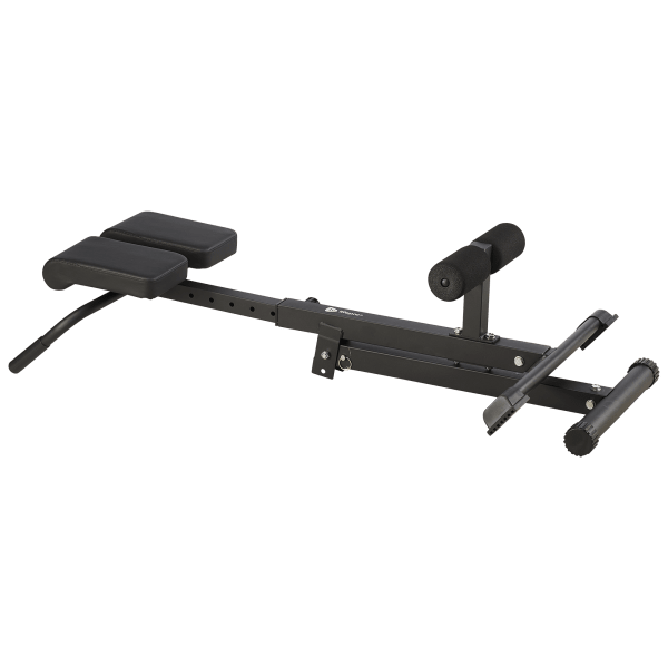 MorningSave: Lifepro Roman Chair Hyperextension Bench