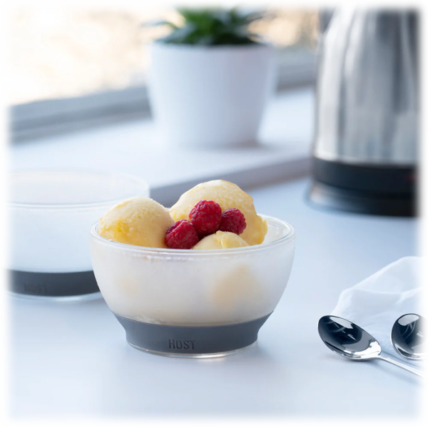 Meh: 4-Pack: HOST 18oz Ice Cream Freeze Bowls