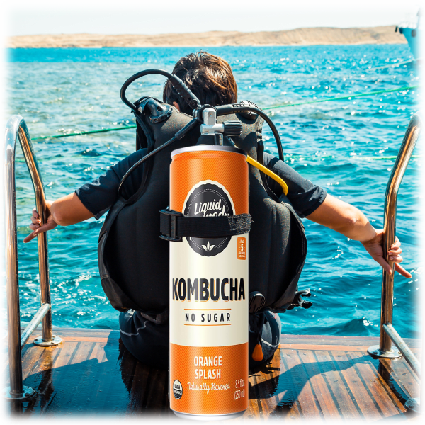 Meh: 24-Pack: Liquid Remedy Organic Zero-Sugar Kombucha