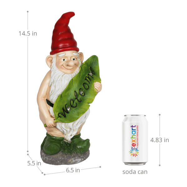SideDeal: Pick-Your-2-Pack: Exhart Gnomes
