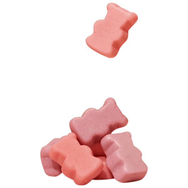 SideDeal: 10-Pack: VegoBears Malibu Organic Vegan Foamy Gummy Bears (3.5oz)