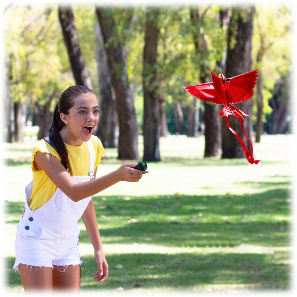 Meh: Zing Go Go Remote Control Flying Bird