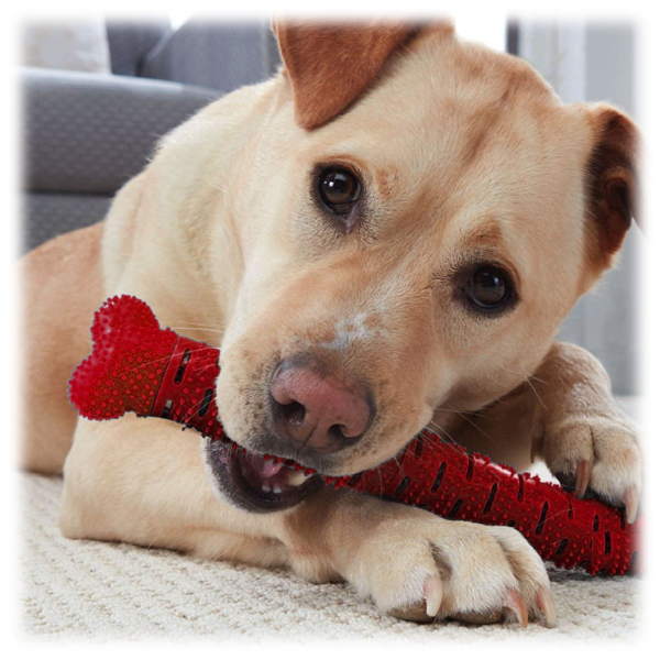 SideDeal: 3-Pack: Bulbhead Brush Bone Deluxe Bacon As Seen On TV