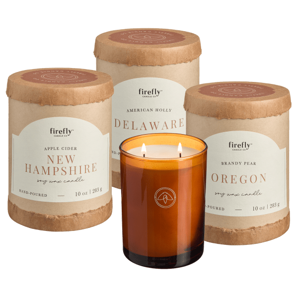 MorningSave: 3-Pack: Firefly Candle Soy Wax 2-Wick Amber Glass Jar Candle