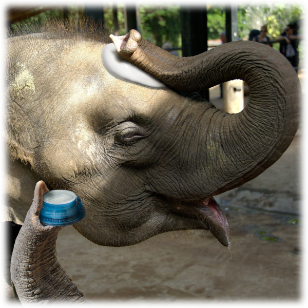 Meh: Quench Microwater Complex 8-Piece Skin Care Set