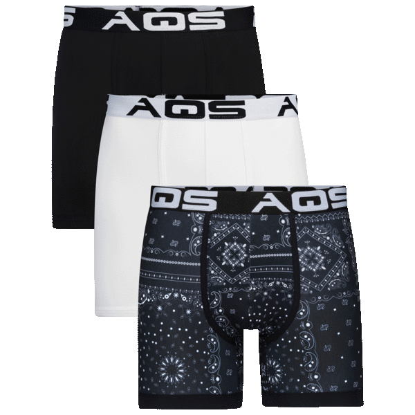 SideDeal: 3-Pack: AQS Bandana Print Boxer Brief