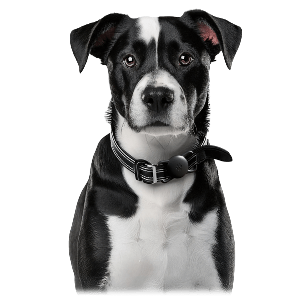 MorningSave: AirBuds AirPet Locator Tag + Holder with Apple Find My ...