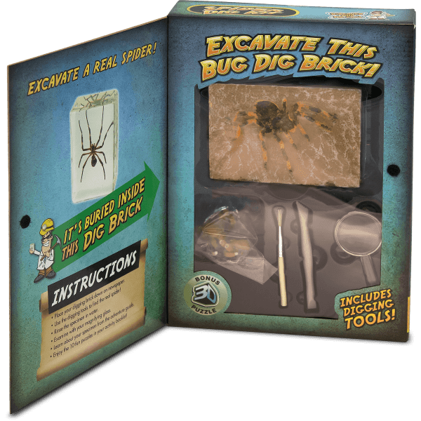 Spider Dig Kit