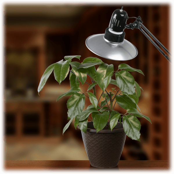 MorningSave: 2-Pack: Stonepoint Wide Spectrum LED Grow Reflector Bulbs ...