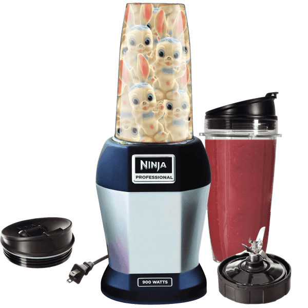 Meh: Nutri Ninja BL450 Pro Blender (Refurbished)
