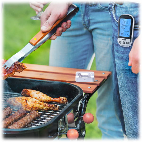 MorningSave: Cheer Collection Wireless Digital Food Thermometer