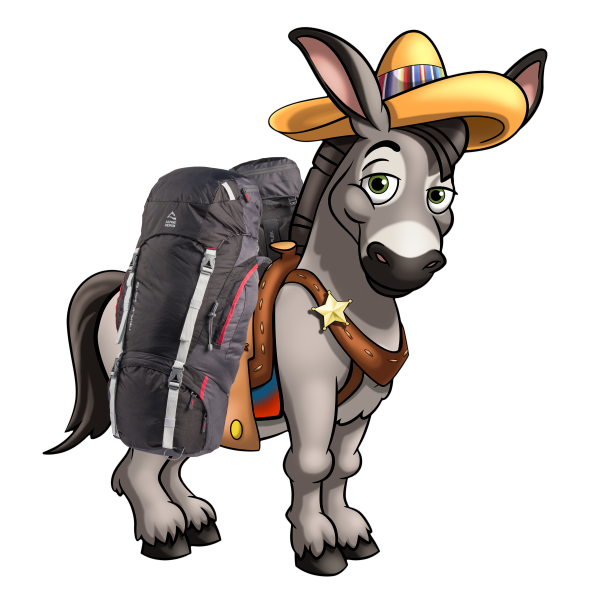 Meh: Alpine Design Backpacks