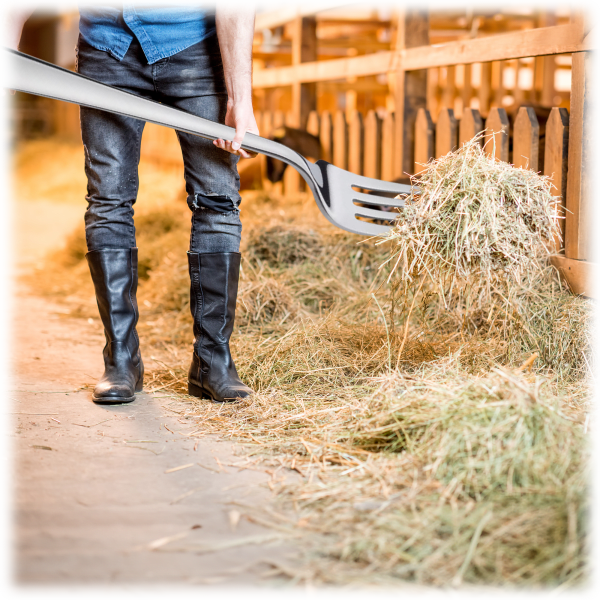 Meh: Chefs Studio 44-Piece 18/10 Flatware Set