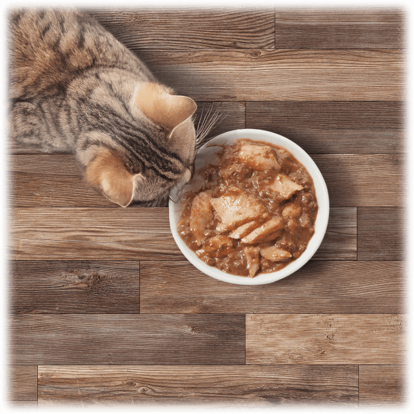 SideDeal: 16-Pack: Solid Gold Grain Free Canned Cat Food (6Oz)