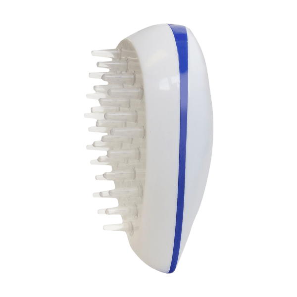 Meh: 2-Pack: SpaLife Electronic Cellulite Therapy Massager