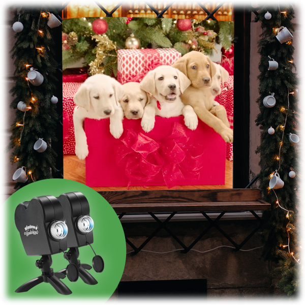 MorningSave: 2-Pack: Window Wonderland Deluxe Holiday Projectors