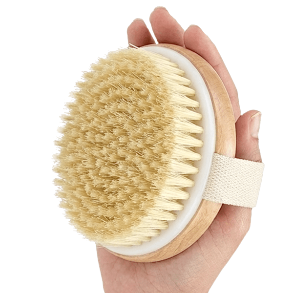 MorningSave: 2-Pack: Cheer Collection Natural Bristle Exfoliating Body ...