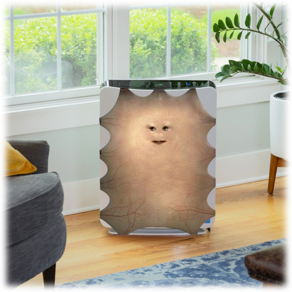 Meh: Winix FresHome P450 True HEPA Air Cleaner with PlasmaWave Technology