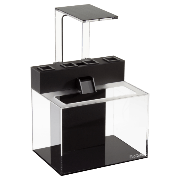 SideDeal: EcoQube Desktop Ecosystem: 2 or 3 Gallon Aquariums with ...