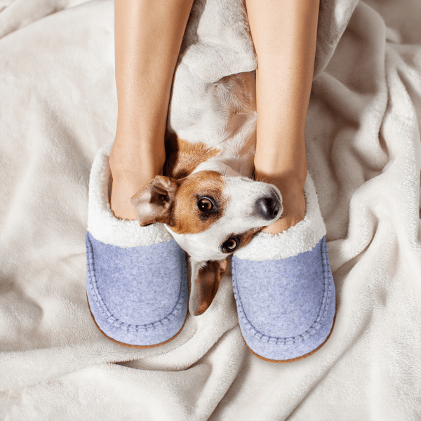 MorningSave: Born Ladies Felted Moccasin Slippers