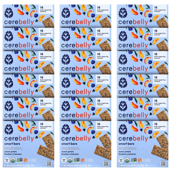 Meh: 90-Pack: Cerebelly Organic Smart Bars