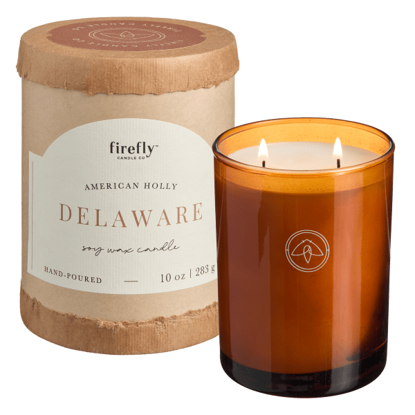MorningSave: 2-Pack: Firefly Candle Soy Wax 2-Wick Amber Glass Jar Candle