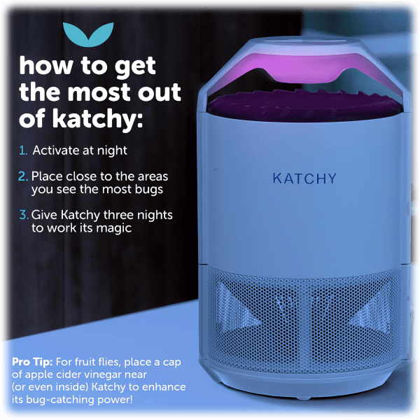 MorningSave: 2-Pack: Katchy Indoor Insect Traps