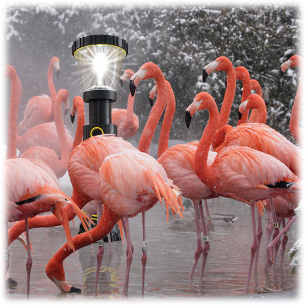 Meh: 2 Pack: Hydralight Flashlights