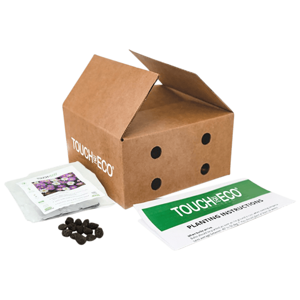 MorningSave: Touch Of Eco Poppy Anemone Flowers (15 Bulbs)