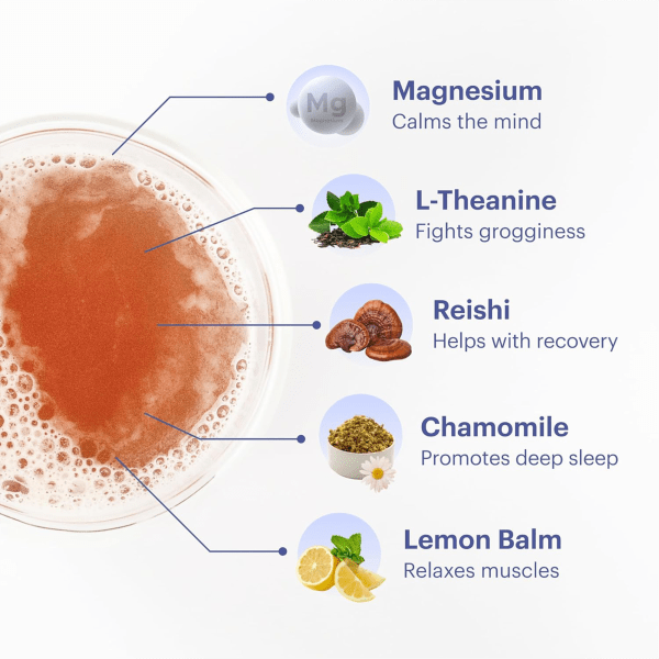 MorningSave: 3-Pack: MoonBrew Nighttime Superfoods Natural Sleep Aid ...