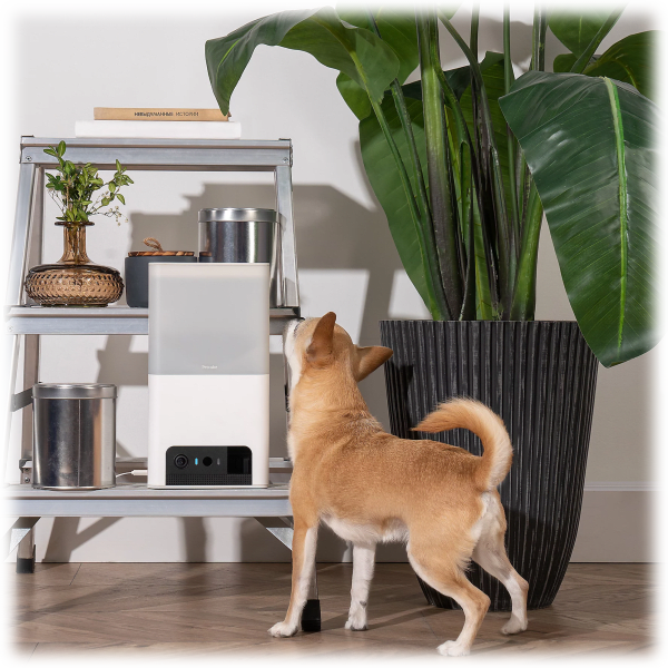 MorningSave: Petcube Bites 2 Lite Interactive WiFi Pet Monitoring ...