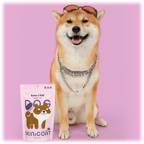 MorningSave: 4-Pack: Assorted Kenn & Kitt Vet-Formulated Dog Treats