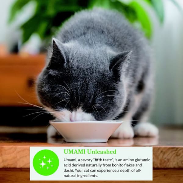 Meh: 48-Pack: INABA Dashi Delights for Cats