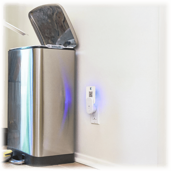 Meh: 2-Pack: Katchy Indoor Plug-in Insect Trap