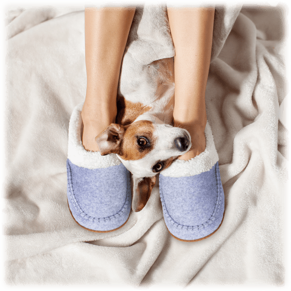MorningSave: Born Ladies Felted Moccasin Slippers