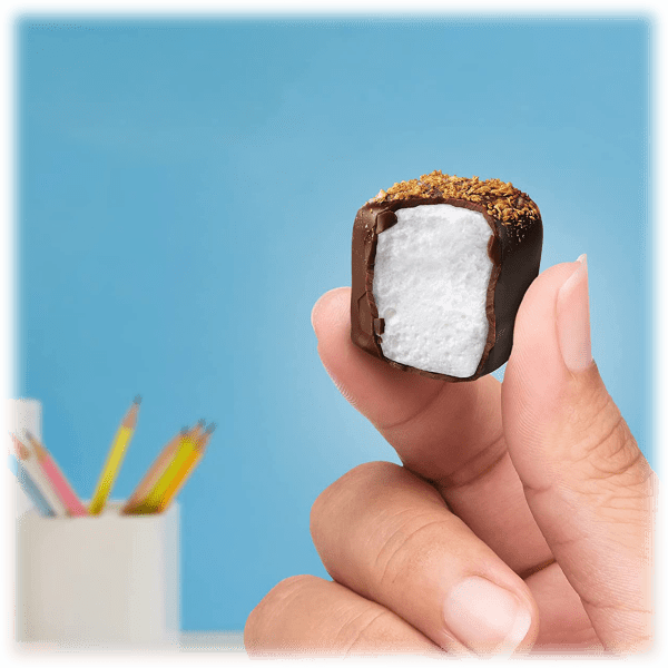 MorningSave: 12-Pack: Jet-Puffed Dark Chocolate Covered Coconut ...