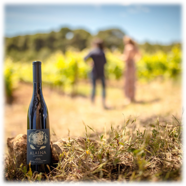 SideDeal: 6-Pack: Laurent Miquel Alaina French Red