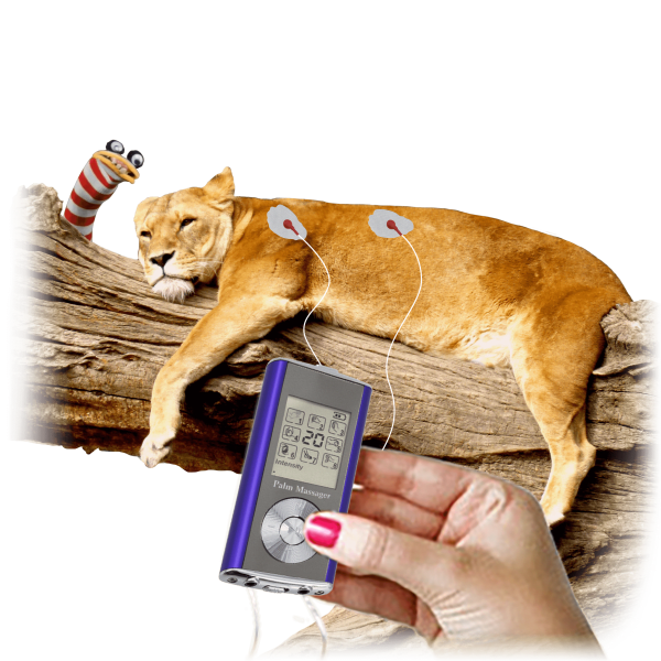 Meh Palm 2 Digital Pulse Massager