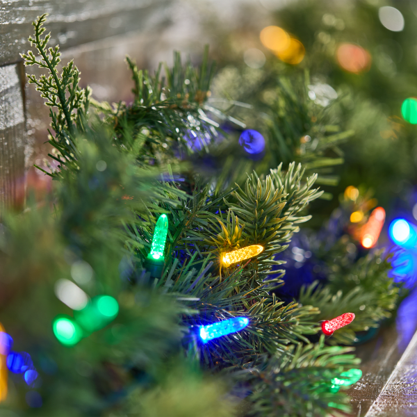 Meh: 6-Pack: Bethlehem Lights Mini Faceted 17FT Battery LED String Lights